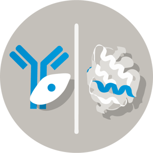 ProBioGen AG | CDMO Services & Technologies for Biopharmaceuticals